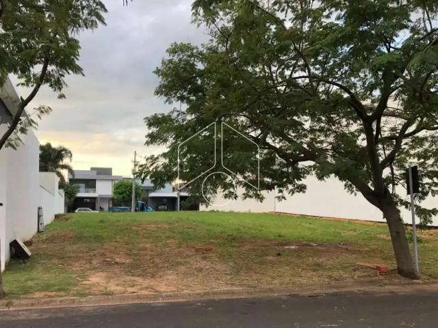 Terreno em Condomínio para Venda em Marília/SP Jardim América