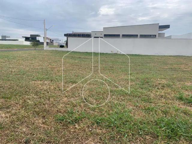 Terreno em Condomínio para Venda em Marília/SP Jardim São Domingos