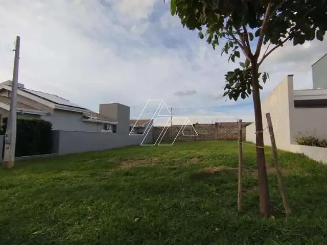 Terreno em Condomínio para Venda em Marília/SP Jardim São Domingos