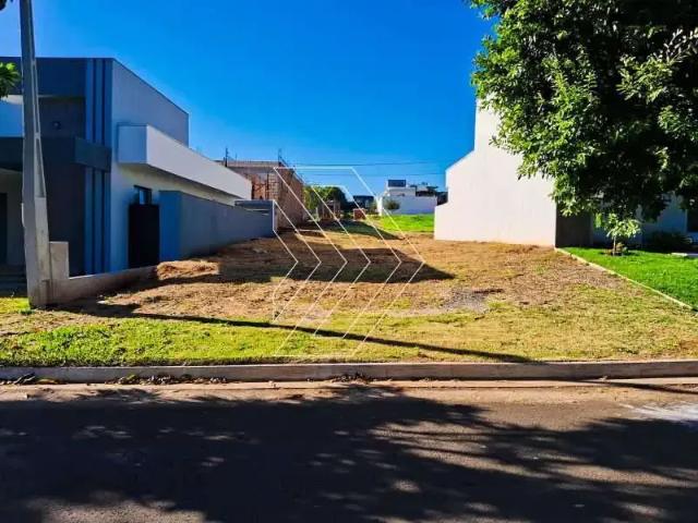 Terreno em Condomínio para Venda em Marília/SP Residencial Verana Parque Alvorada