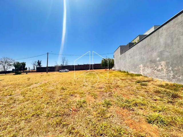 Terreno em Condomínio para Venda em Marília/SP Residencial Vale Verde