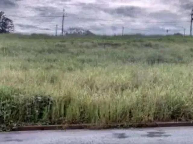 Terreno em Condomínio para Venda em Marília/SP Residencial Vale Verde