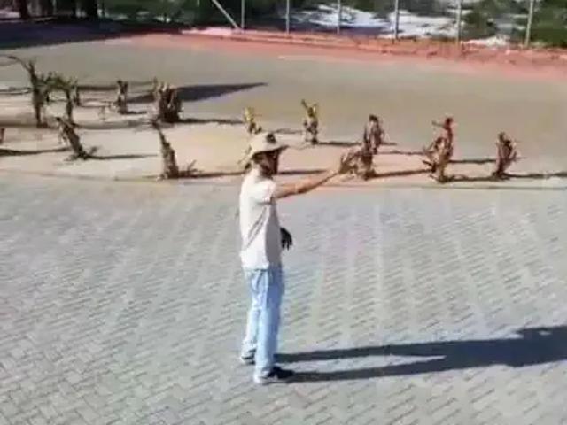 Terreno em Condomínio para Venda em Mata de São João/BA Açu da Torre