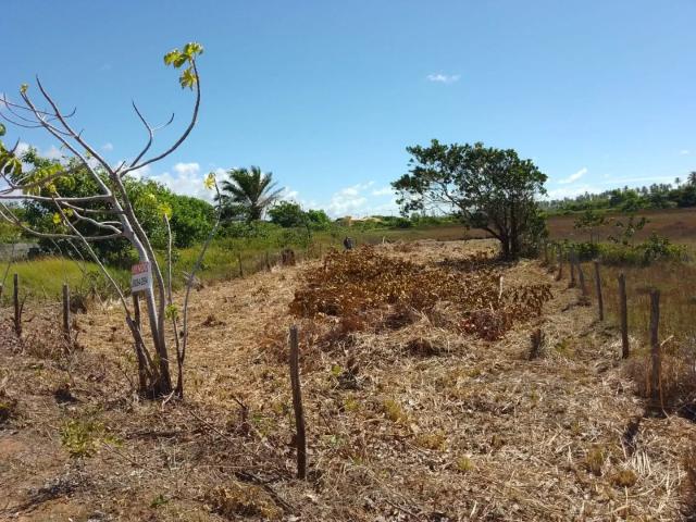 Terreno em Condomínio para Venda em Mata de São João/BA Porto Sauipe