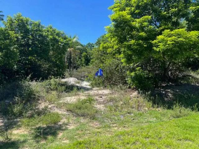 Terreno em Condomínio para Venda em Mata de São João/BA Praia do Forte 1 Quartos