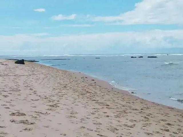 Terreno em Condomínio para Venda em Mata de São João/BA Praia do Forte