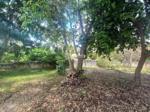 Terreno em Condomínio para Venda em Mata de São João/BA Praia do Forte