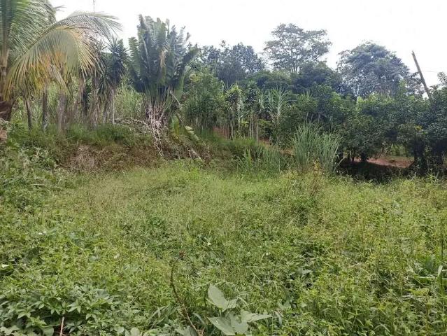Terreno em Condomínio para Venda em Matias Barbosa/MG Catita