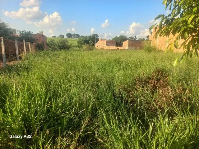Terreno em Condomínio para Venda em Mendonça/SP Residencial Borá