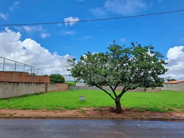 Terreno em Condomínio para Venda em Mirassol/SP Residencial Ângelo Brandimarte