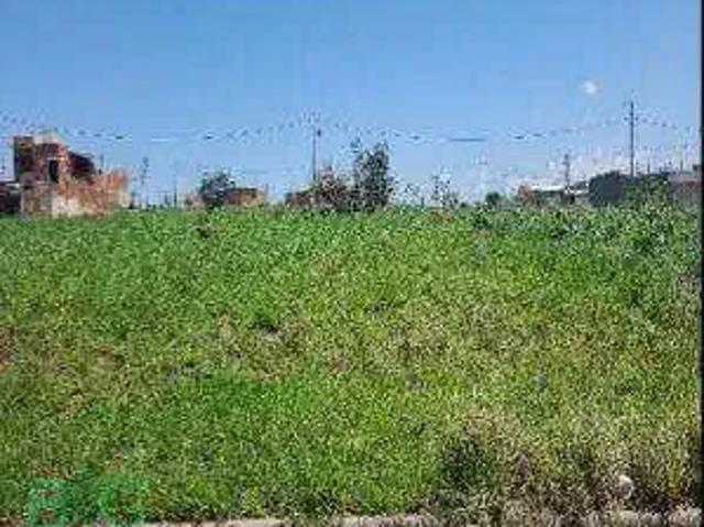Terreno em Condomínio para Venda em Mogi Mirim/SP Residencial Ypê