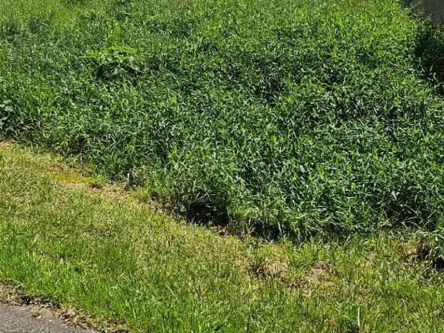 Terreno em Condomínio para Venda em Mogi das Cruzes/SP Aruã