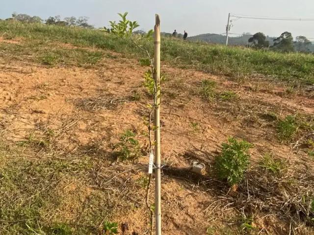 Terreno em Condomínio para Venda em Mogi das Cruzes/SP Cézar de Souza