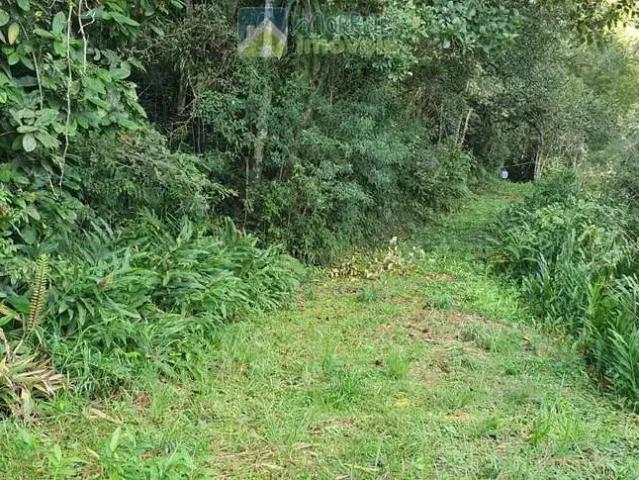 Terreno em Condomínio para Venda em Morretes/PR Anhaia