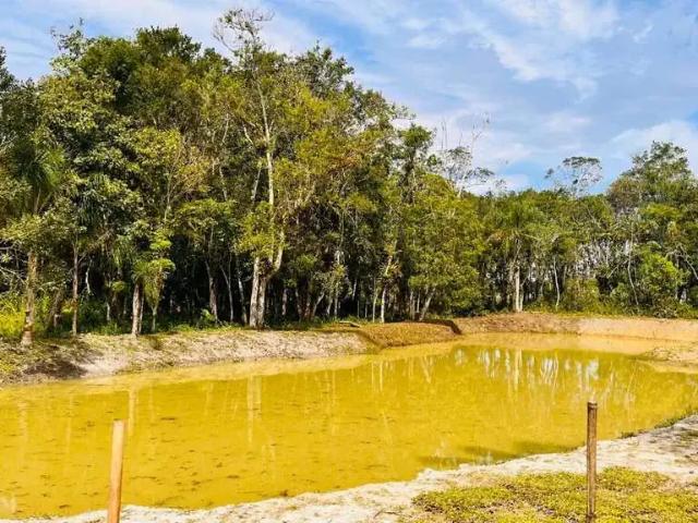 Terreno em Condomínio para Venda em Morretes/PR Sambaqui