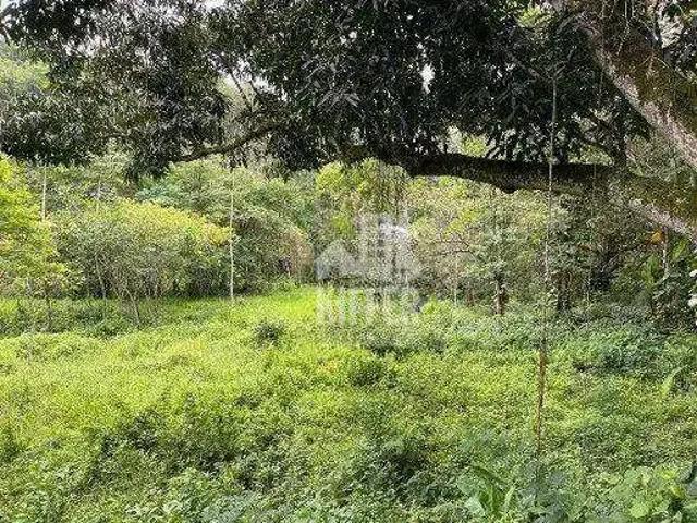 Terreno em Condomínio para Venda em Niterói/RJ Pendotiba