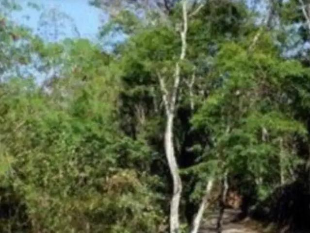 Terreno em Condomínio para Venda em Niterói/RJ Vila Progresso