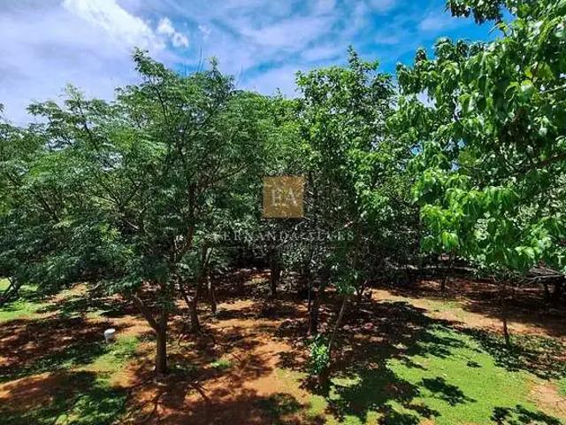 Terreno em Condomínio para Venda em Nova Odessa/SP Jardim Dona Maria Azenha