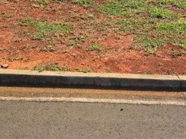 Terreno em Condomínio para Venda em Nova Odessa/SP Parque dos Pinheiros