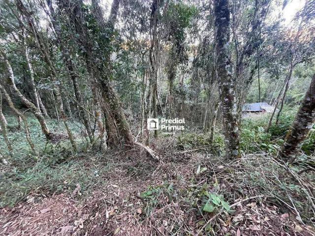 Terreno em Condomínio para Venda em Nova Friburgo/RJ Cônego