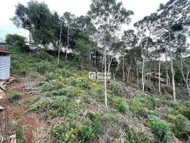 Terreno em Condomínio para Venda em Nova Friburgo/RJ Braunes
