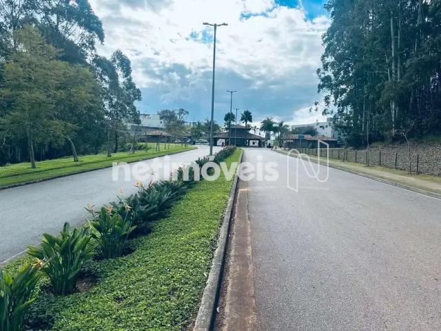 Terreno em Condomínio para Venda em Nova Lima/MG Alphaville Lagoa dos Ingleses
