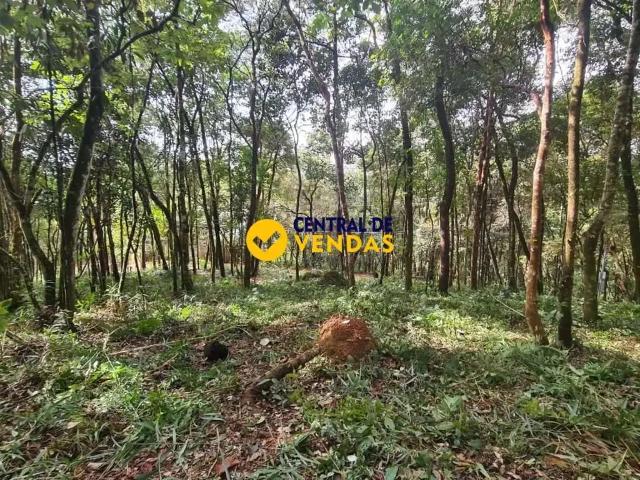 Terreno em Condomínio para Venda em Nova Lima/MG Arvoredo