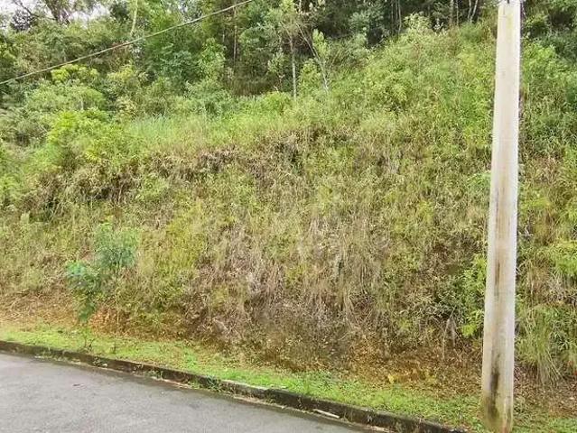 Terreno em Condomínio para Venda em Nova Lima/MG Canto da Mata
