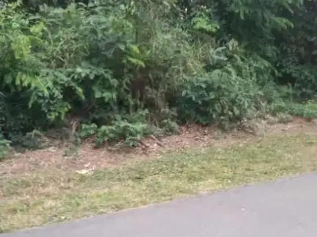 Terreno em Condomínio para Venda em Nova Lima/MG Condomínio Arvoredo