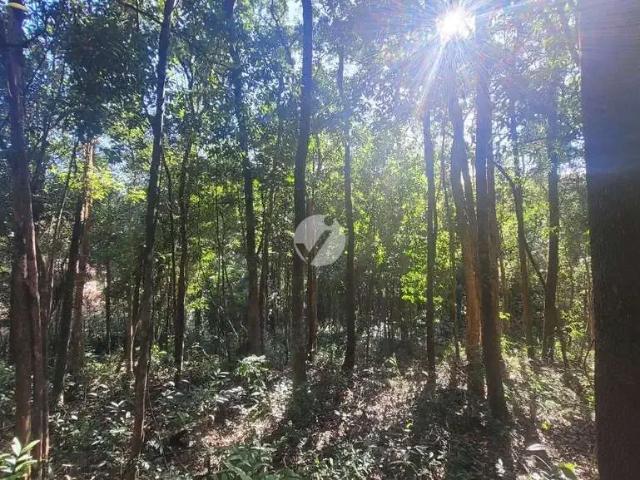 Terreno em Condomínio para Venda em Nova Lima/MG Condomínio Arvoredo