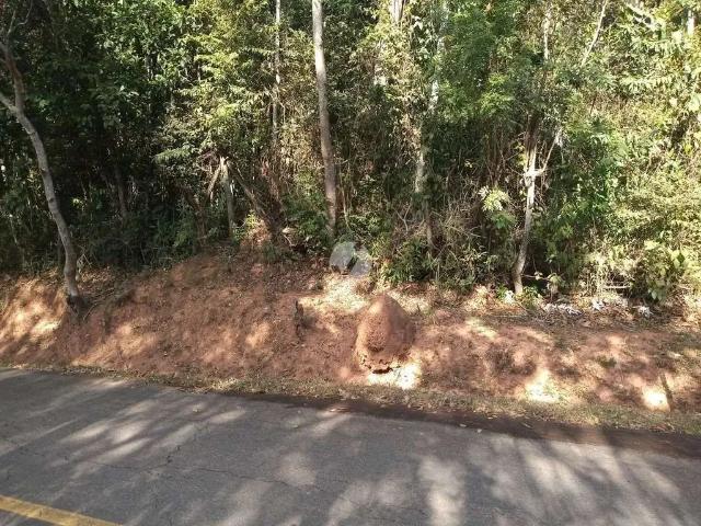 Terreno em Condomínio para Venda em Nova Lima/MG Condomínio Arvoredo