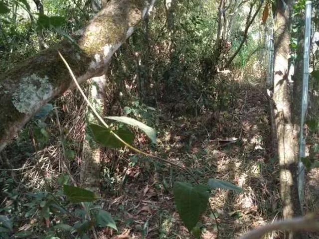 Terreno em Condomínio para Venda em Nova Lima/MG Condomínio Arvoredo