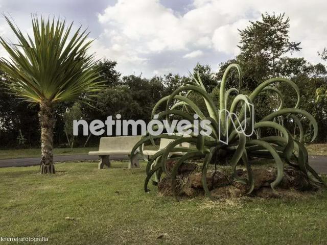Terreno em Condomínio para Venda em Nova Lima/MG Green Park