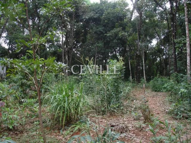 Terreno em Condomínio para Venda em Nova Lima/MG Pasárgada