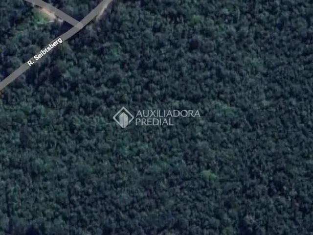 Terreno em Condomínio para Venda em Nova Petrópolis/RS Linha Pirajá Baixa