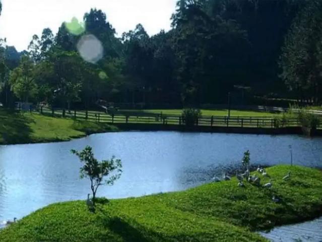 Terreno em Condomínio para Venda em Novo Hamburgo/RS Lomba Grande