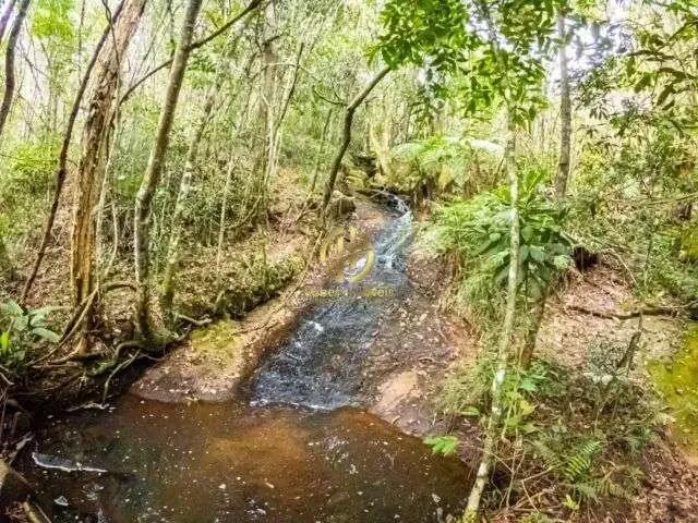 Terreno em Condomínio para Venda em Ouro Preto/MG Santo Antônio do Leite