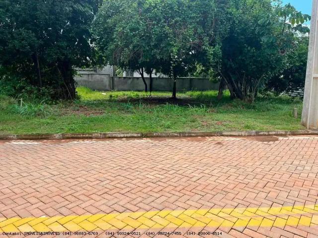 Terreno em Condomínio para Venda em Parnamirim/RN Cotovelo Distrito Litoral