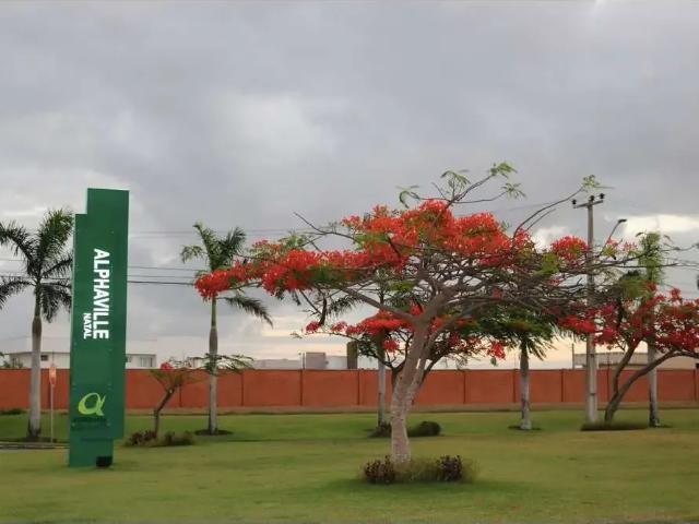 Terreno em Condomínio para Venda em Parnamirim/RN Pium Distrito Litoral