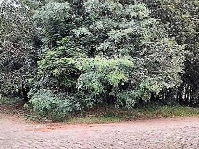 Terreno em Condomínio para Venda em Passo Fundo/RS Vila Lucas Araújo