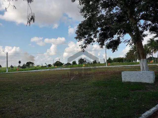 Terreno em Condomínio para Venda em Paudalho/PE Chã de Onça