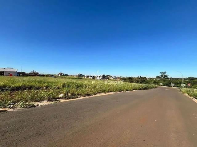 Terreno em Condomínio para Venda em Paulínia/SP Betel