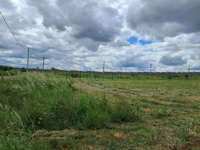 Terreno em Condomínio para Venda em Paulínia/SP Betel