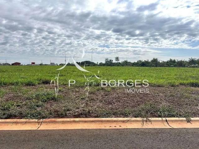 Terreno em Condomínio para Venda em Paulínia/SP Betel