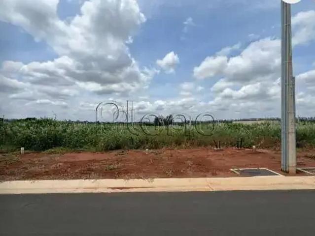 Terreno em Condomínio para Venda em Paulínia/SP Boa Esperança