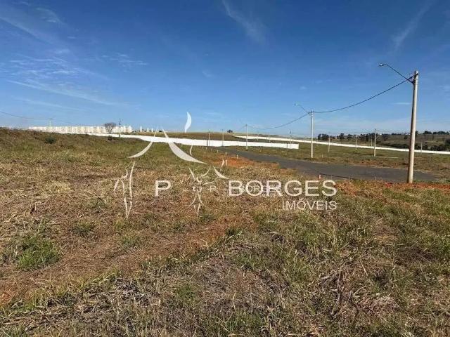Terreno em Condomínio para Venda em Paulínia/SP Jardim Ypê