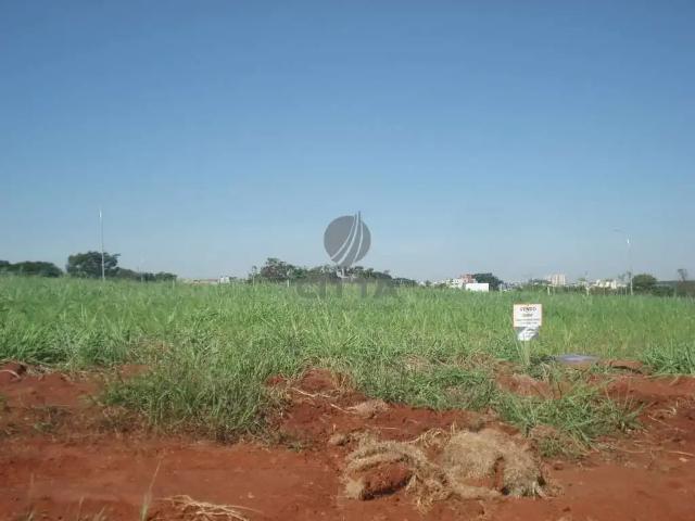 Terreno em Condomínio para Venda em Paulínia/SP Jardim Fortaleza