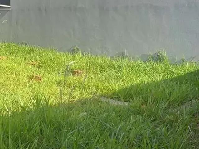 Terreno em Condomínio para Venda em Paulínia/SP São Bento