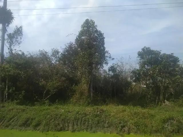 Terreno em Condomínio para Venda em Peruíbe/SP Cidade Nova Peruibe