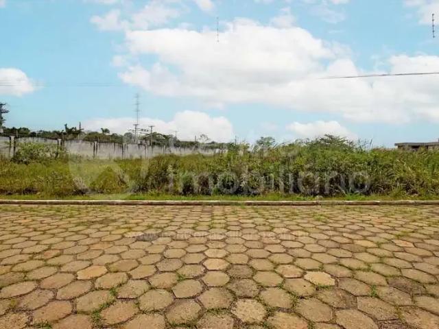 Terreno em Condomínio para Venda em Peruíbe/SP Bougainvillee V